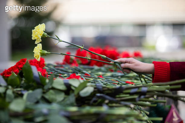A hand puts red carnations on a granite gravestone. Memory of the dead ...