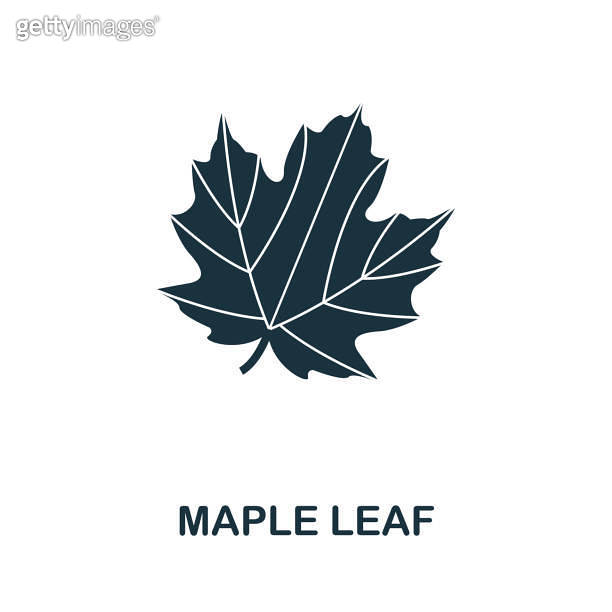 Maple Leaf vector icon symbol. Creative sign from maple leaf icons ...