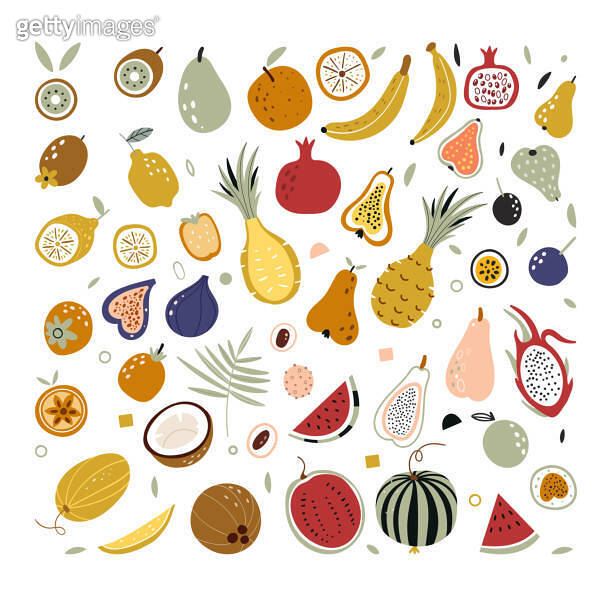 Hand drawn tropical and exotic fruits isolated on white background in ...