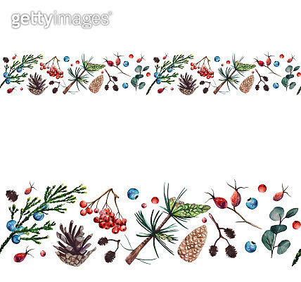 Watercolor seamless border with pine cones, branches of rose hip, alder ...