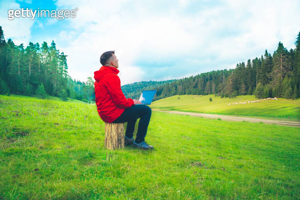 man working on computer in nature 이미지 (1252614671) - 게티이미지뱅크