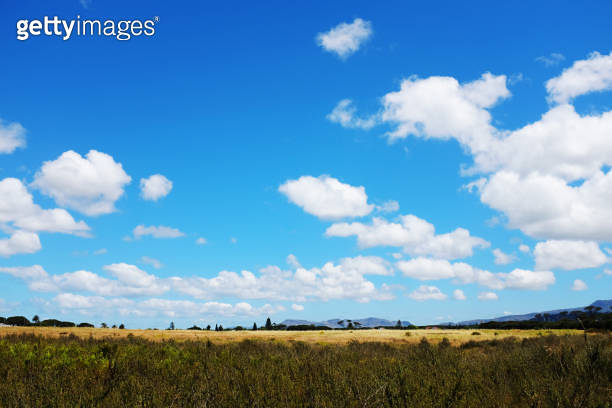 Beautiful sunny expanse of Rondebosch Common, Cape Town, South Africa ...