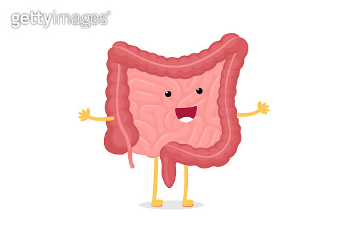 Cute Cartoon Healthy Intestines Smiley Character Abdominal Cavity Digestive And Excretion Human