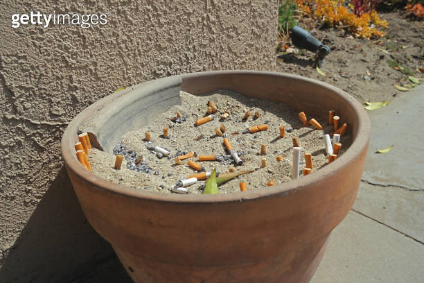 Flower Pot with Cigarettes 이미지 (1275676968) - 게티이미지뱅크