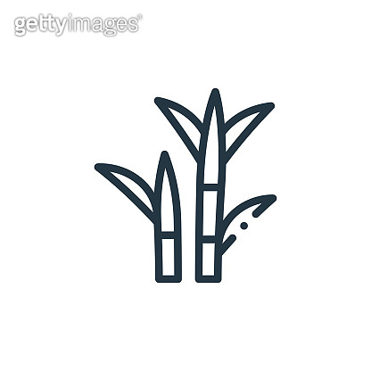 sugar cane vector icon isolated on white background. Outline, thin line ...
