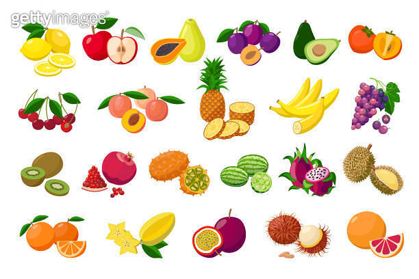 Large fruit collection detailed vector illustrations isolated on white ...