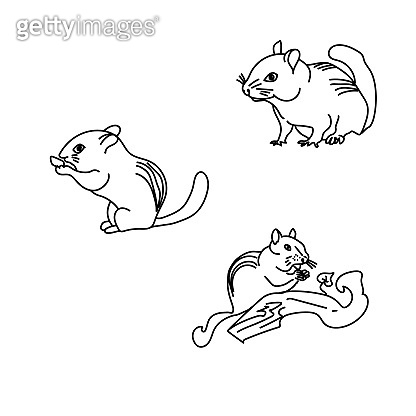 Set of outline chipmunk,, hand draw vector illustration, cute animal ...