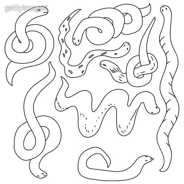 Set of contours of snakes, simple linear silhouettes of reptiles in ...