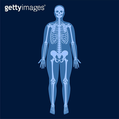 Skeleton x ray 이미지 (1253559487) - 게티이미지뱅크