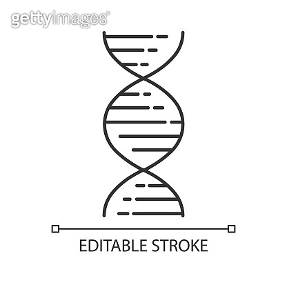DNA double helix linear icon. Deoxyribonucleic, nucleic acid structure ...