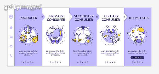 Grazing food chain onboarding vector template. Energy producer ...