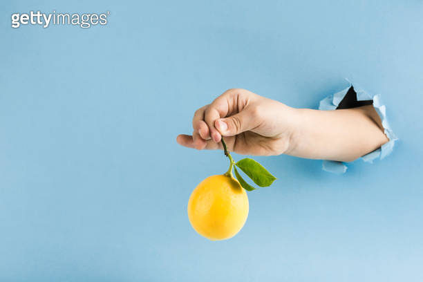A ripe lemon with a branch and leaves in the hand from the hole in the ...