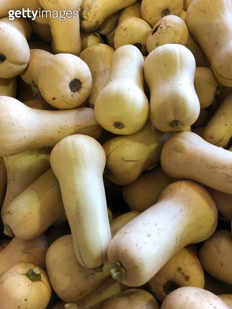 Close-up of butternut squash in vertical (1269943922) - 게티이미지뱅크