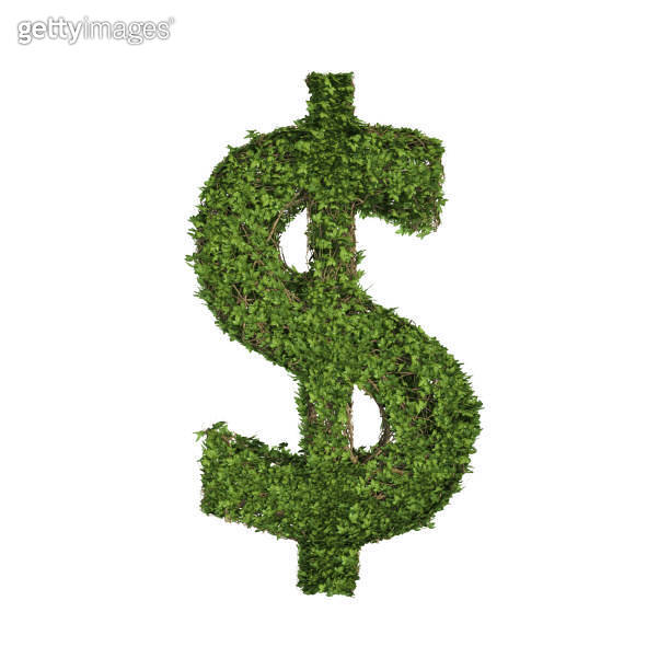 Ivy plant with leaves, green creeper bush and vines forming dollar or ...