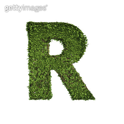 Ivy plant with leaves, green creeper bush and vines forming letter R ...