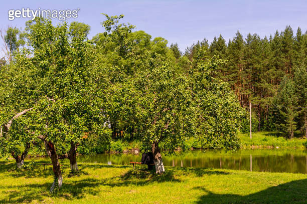 Pond on the territory of the Holy Vvedensky Makaryevsky Zhabyn ...