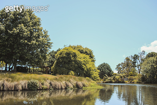 Beautiful lake at Auckland Botanic Gardens, North Island, New Zealand ...