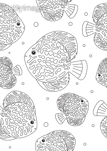 Seamless pattern or coloring page with discus fish for adults, outline ...