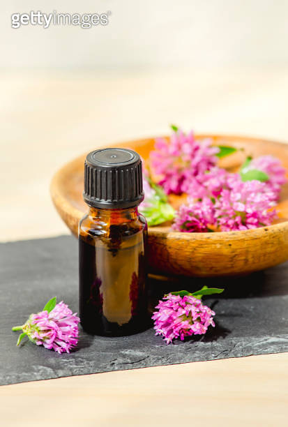 Selective focus on Trifolium pratense the red clover tincture bottle ...