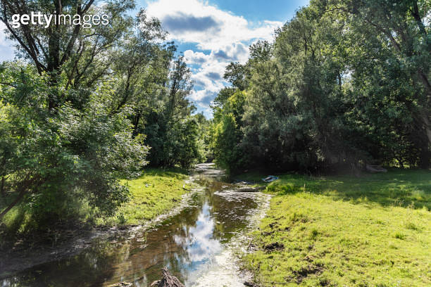Streamlet in Special nature reserve "Karadjordjevo". 이미지 (1248953740 ...