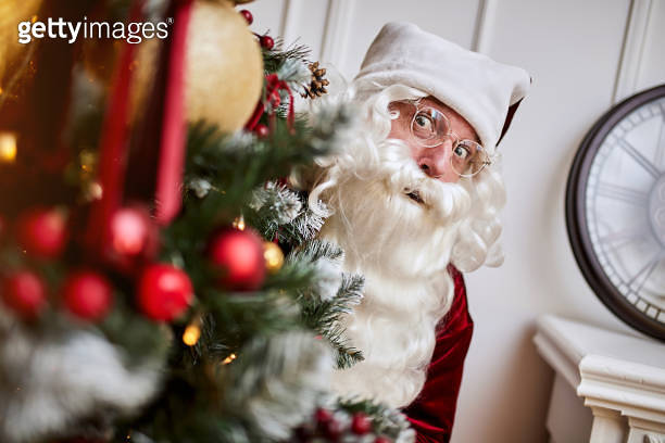 Santa Claus is hiding behind christmas tree to hide gifts. New year and ...
