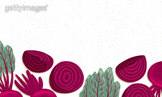 Autumn beet border vector cartoon illustration. Violet beetroot ...