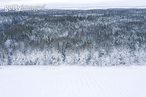 winter landscape with forest edge and snow-covered fields. aerial view ...