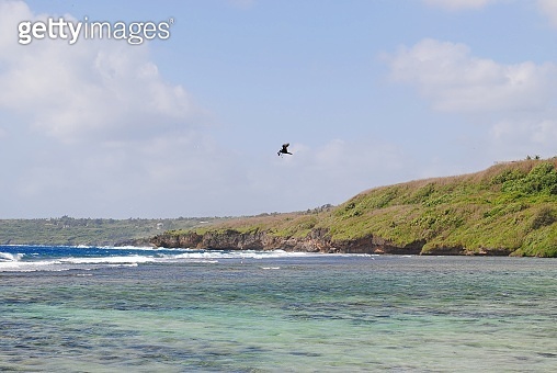 Blue and green waters of Lau Lau Bay, Saipan, with a small bird flying ...