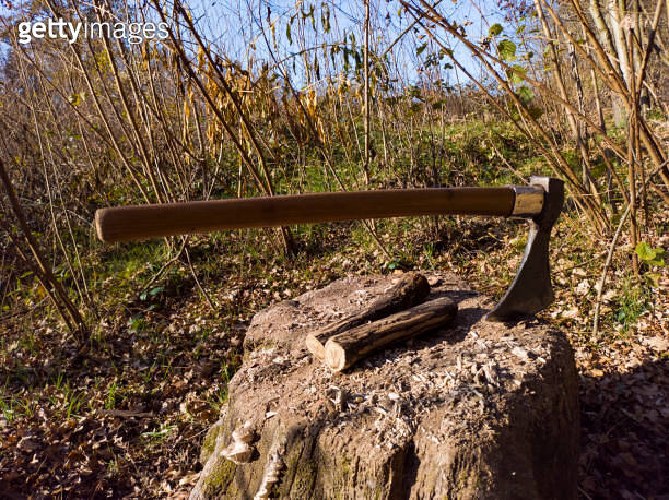 Axe on a trunk close-up 이미지 (1287491159) - 게티이미지뱅크