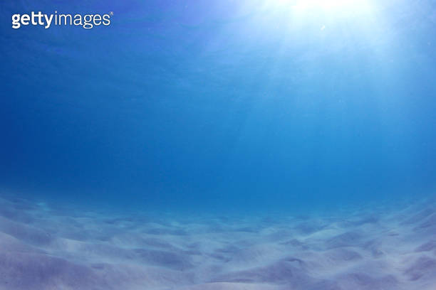 Underwater background and sandy bottom 이미지 (1264180010) - 게티이미지뱅크