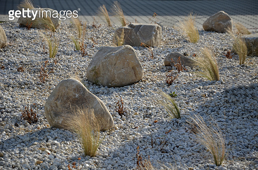 ornamental flowerbed with perennials and gray granite boulders rocks ...
