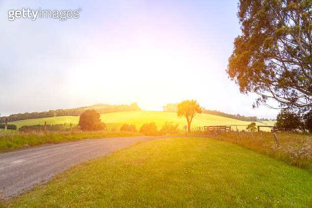Landscape before sunset in New Zealand. 이미지 (1197510655) - 게티이미지뱅크