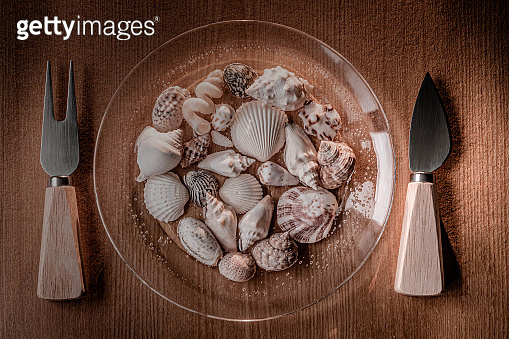 closeup of seashells in water. seafood for lunch. plate with seashells ...