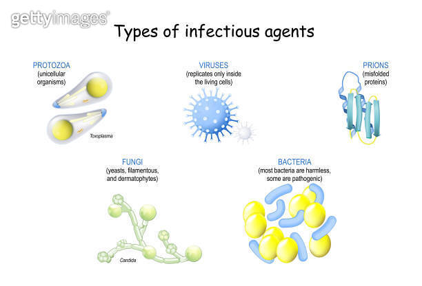 pathogens. Types of infectious agents (1287951214) 일러스트, 무료 일러스트 - 게티이미지뱅크