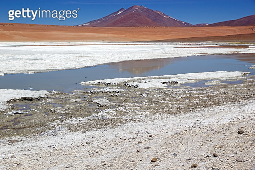 Santa Maria Lagoon at the Puna de Atacama with volcano Carachi Pampa in ...