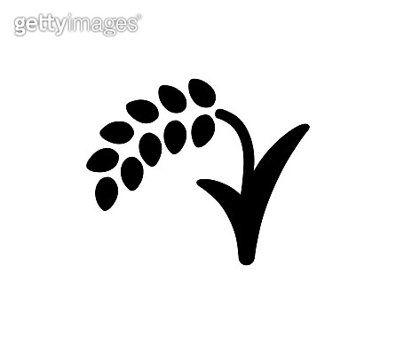 Sheaf of Rice Vector Isolated Icon Illustration. Sheaf of Rice Icon ...