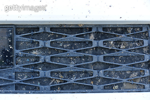 Bugs and flies crashed and stuck in grille of car radiator 이미지 ...