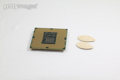 Intel cpu for pc computer and notebook close up macro 이미지 (1268583331 ...