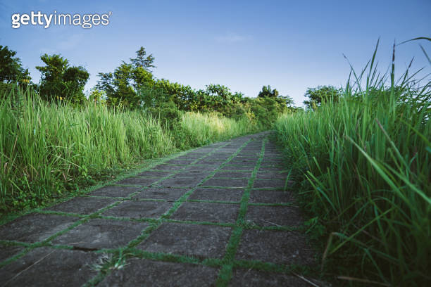 Sunrise over stone tile trail, runs along hills covered with lush ...