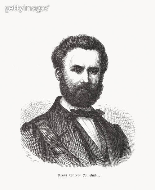 Franz Wilhelm Junghuhn (1809-1864), German-Dutch botanist, wood ...