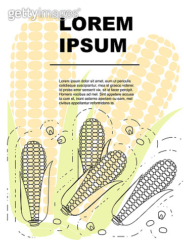Advertising flyer or greetings card design with outline corn cob flat ...