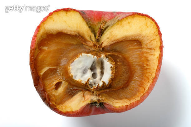 Badly Shrinked Apple With Moldy Core On White Background 이미지