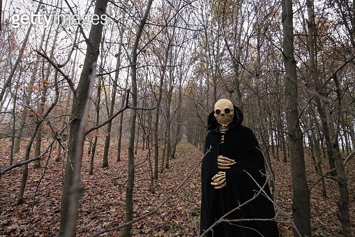 Halloween and Day of the Dead party.Dia de los Muertos.Death carnival ...