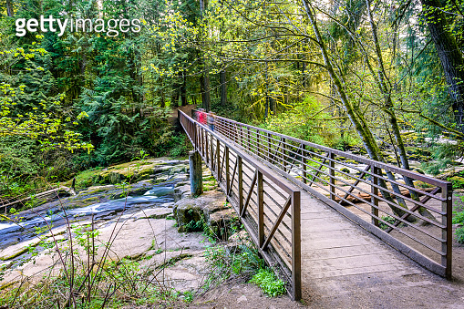 Pedestrian bridge over a mountain river in a wild forest 이미지 ...