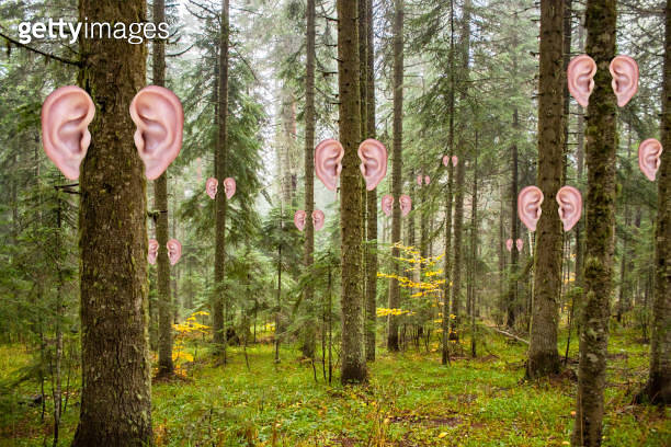 Nature listens surrealistic concept with trees having ears listening ...