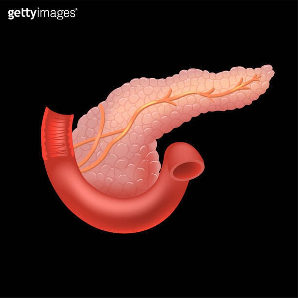Pancreas icon in realistic style isolated on black background. Organs ...