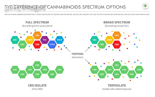 The Difference of Cannabinoids Spectrum Options horizontal business ...