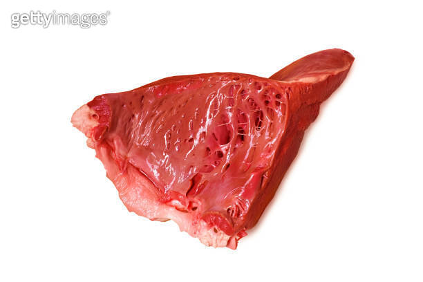 Raw beef heart meat isolated on white background, heart muscle 이미지 ...