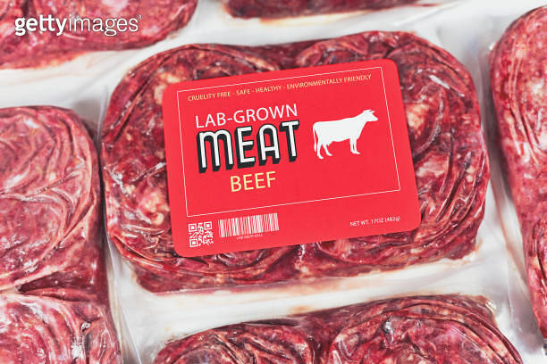 Lab grown cultured meat concept for artificial in vitro cell culture ...