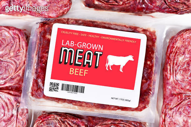 Lab grown cultured meat concept for artificial in vitro cell culture ...